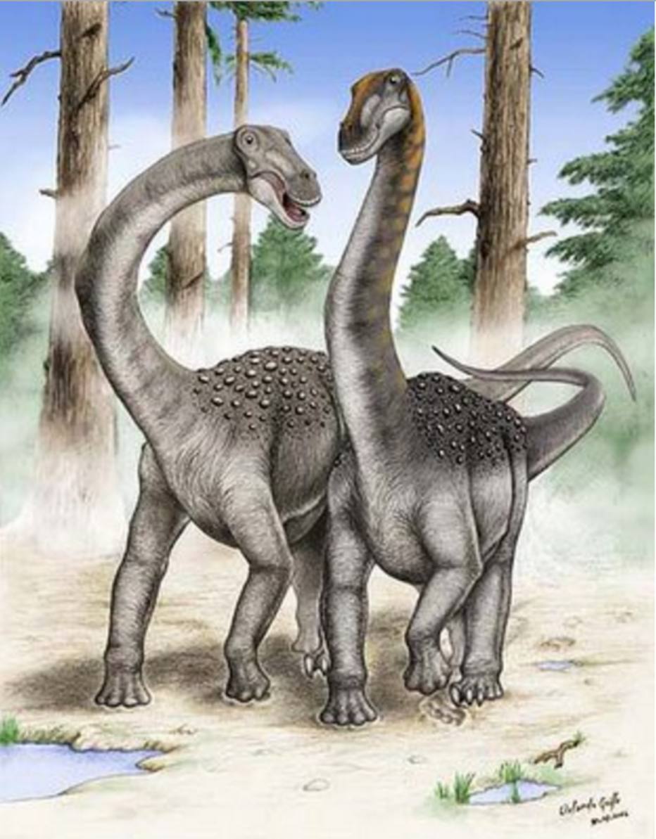 Conheça as 21 espécies de dinossauros do Brasil - Ciência - Estadão