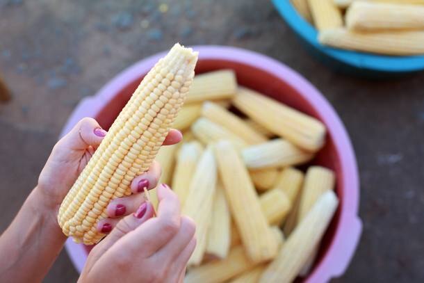 Como fazer pamonha, passo a passo - Paladar - Estadão