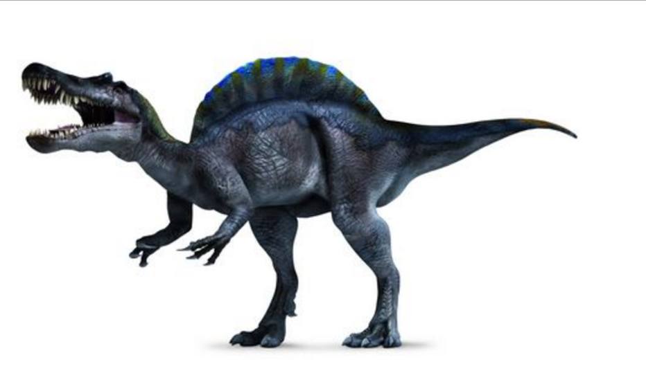 Conheça as 21 espécies de dinossauros do Brasil - Ciência - Estadão