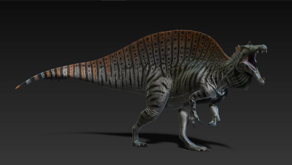 Conheça as 21 espécies de dinossauros do Brasil - Ciência - Estadão