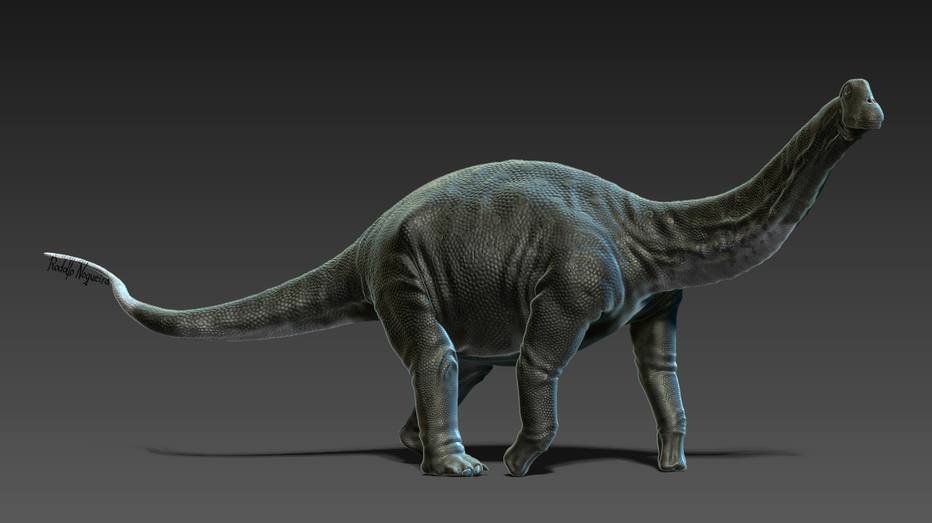 Conheça as 21 espécies de dinossauros do Brasil - Ciência - Estadão