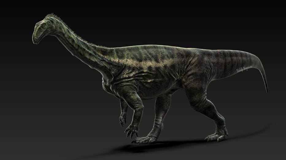 Conheça as 21 espécies de dinossauros do Brasil - Ciência - Estadão