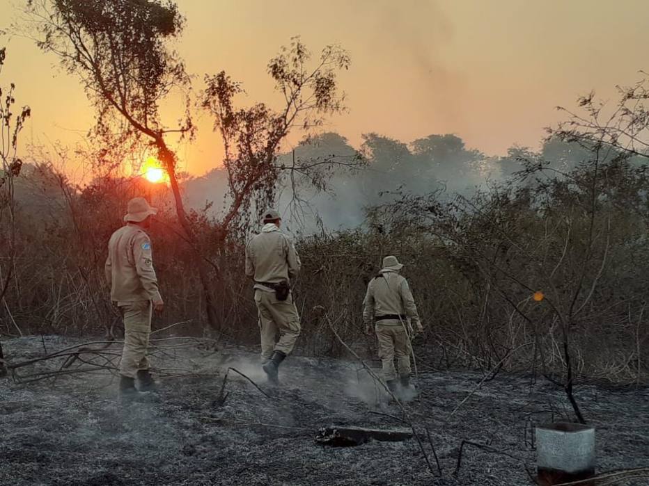 Focos De Incêndio Voltam A Atingir O Pantanal Cidades Turísticas Já