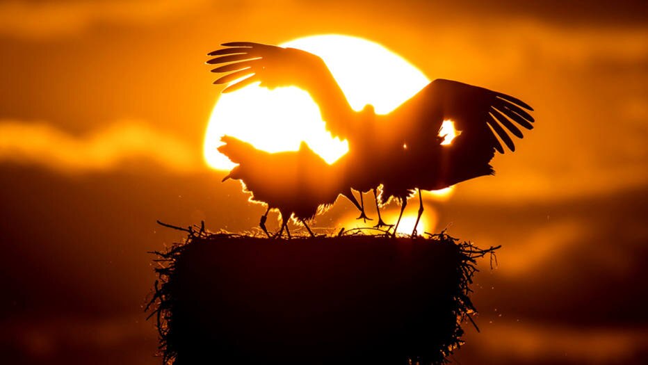 Imagens de 11 de julho - Fotografia - Estadão