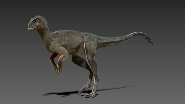 Conheça as 21 espécies de dinossauros do Brasil - Ciência - Estadão