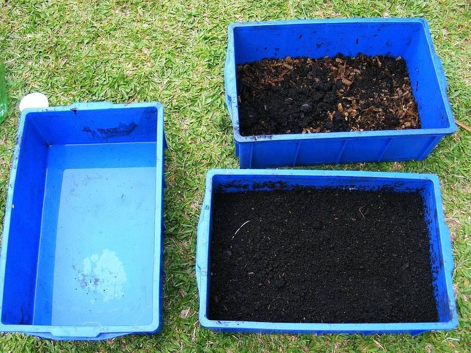 Saiba como montar um minhocário - Sustentabilidade - Estadão