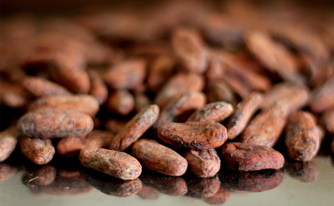 Cacau & chocolate - Infográficos - Estadão