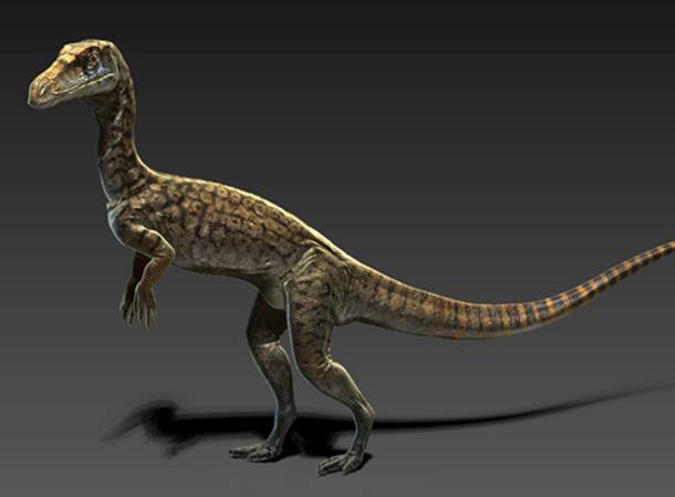 Conheça as 21 espécies de dinossauros do Brasil - Ciência - Estadão