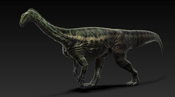 Conheça as 21 espécies de dinossauros do Brasil - Ciência - Estadão