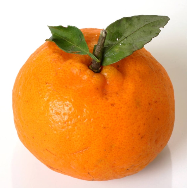 É mexerica ou tangerina? Descubra as diferenças e confira receitas ...