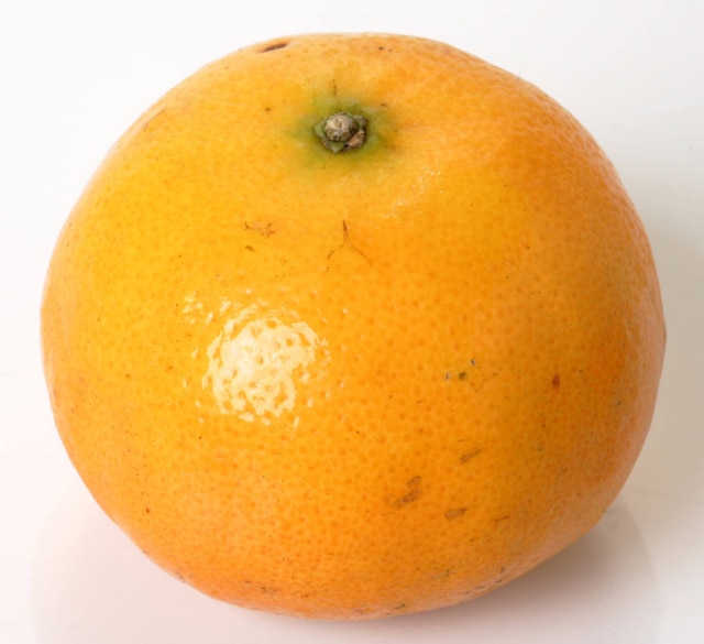 É mexerica ou tangerina? Descubra as diferenças e confira receitas ...